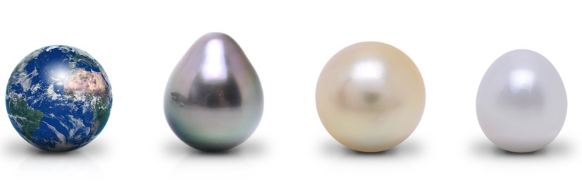 How Much Are Pearls Worth? Get to Know Their Value - Pearls of Wisdom