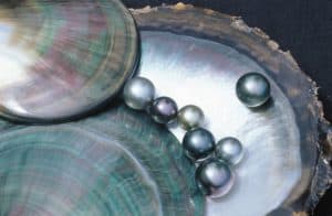 What is a Pearl? - Pearls of Wisdom by The Pearl Source
