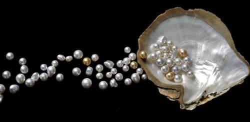 16 Interesting Facts About Pearls - TPS Blog