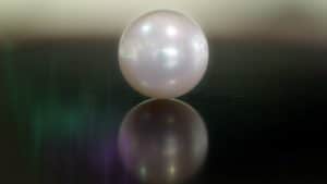 16 Interesting Facts About Pearls - TPS Blog