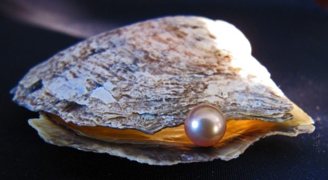 Pearl Sizes: Finding the Perfect One - TPS Blog