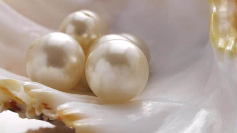 A pearl store
