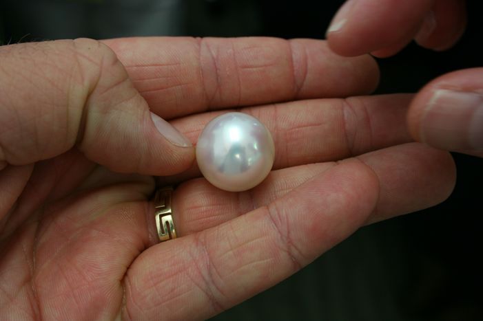 What is a Pearl? - Pearls of Wisdom by The Pearl Source